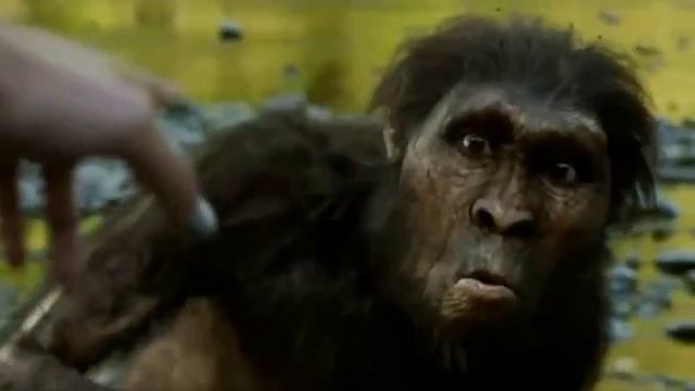 Мощнейший мотивАтор,