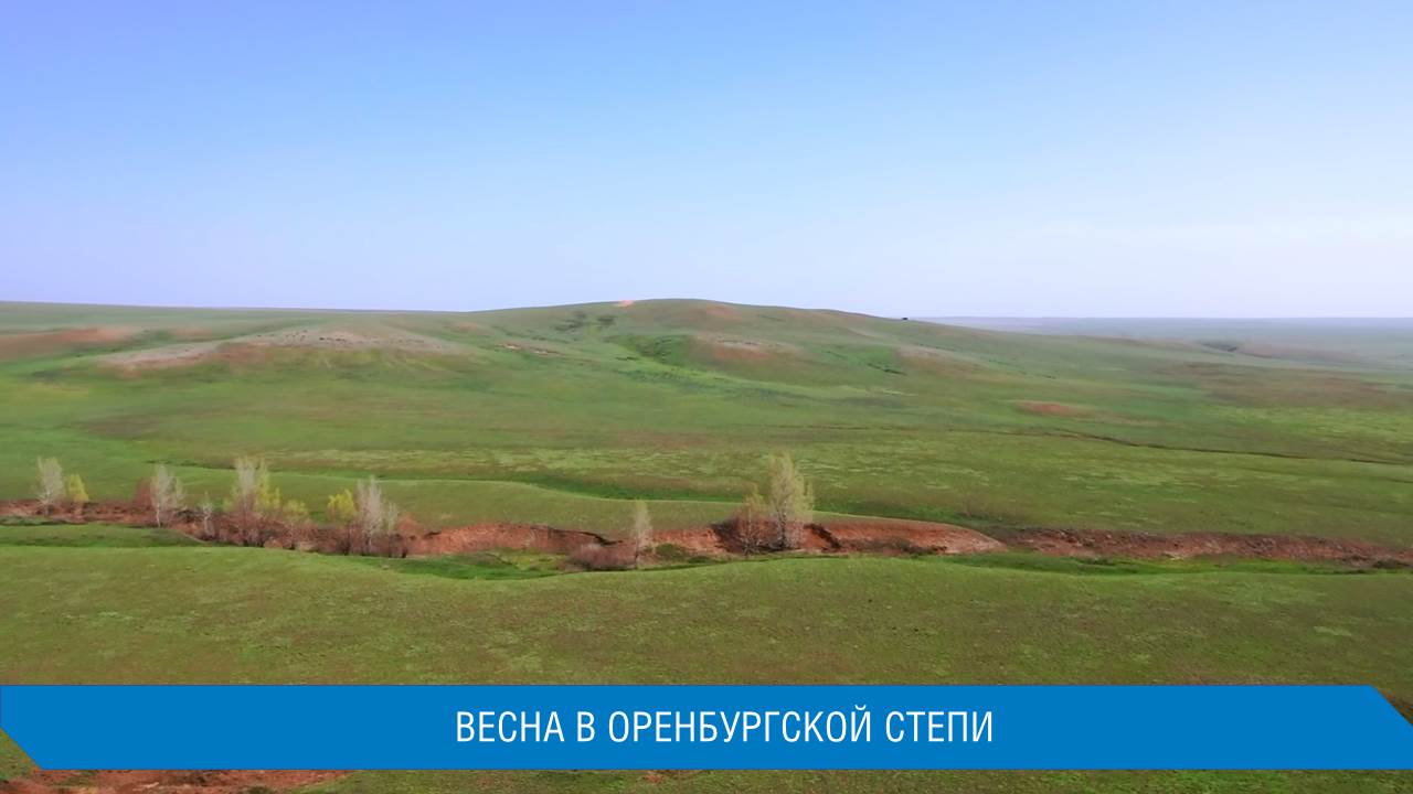 ВИДЕОЗАРИСОВКА "ВЕСНА В ОРЕНБУРГСКОЙ СТЕПИ"