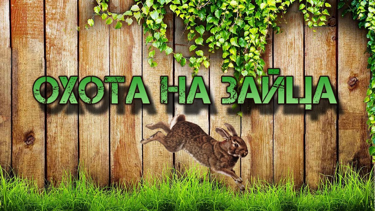 Охота на зайца. Двойной выстрел по одному зайцу, никаких шансов.