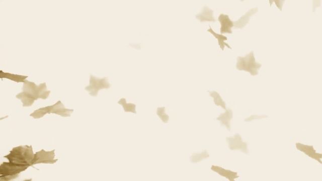 Светлана Терехова - Мы больше не пишем писем