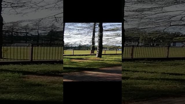 Прогулка по Пицунде