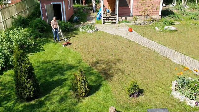 2022 - ремонт газона