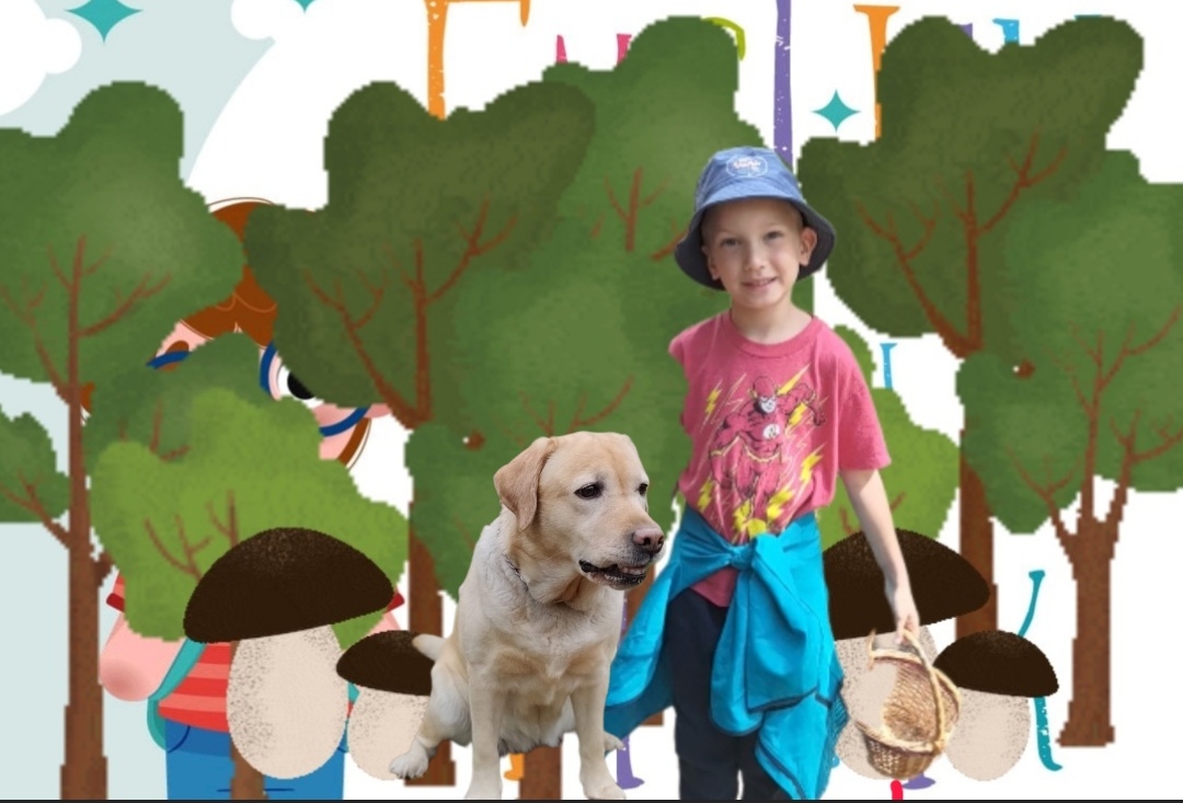 Вспоминаем лето ☀️. Винтик и Макси идут в лес ?/ Vintik and Maxi go to the forest