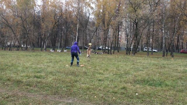 Ф.Фристайл  Ольга и Барс.mp4