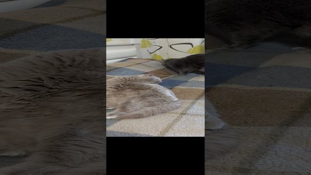 Отвернулась ?