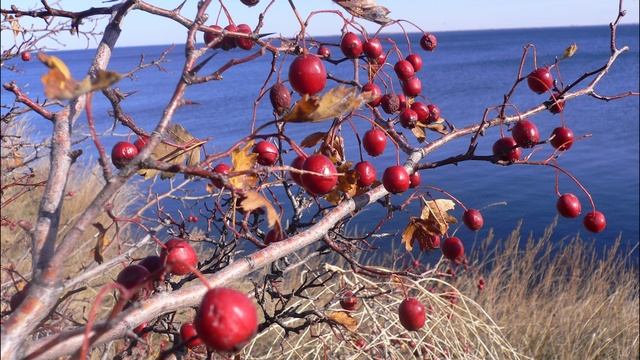 Красоты Волгоградской области