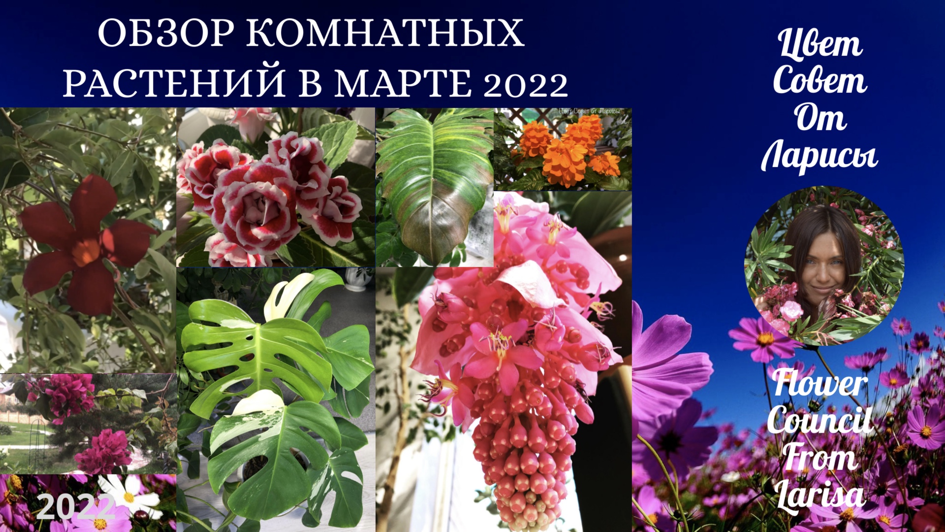 ОБЗОР КОМНАТНЫХ РАСТЕНИЙ МАРТ 2022.mp4