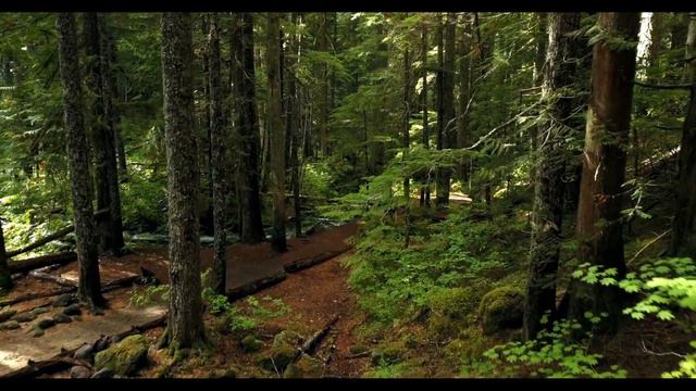 Музыка для отдыха ⧸ Music for relaxation