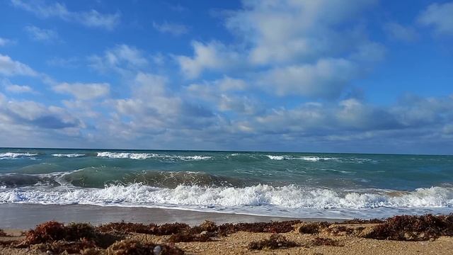 Релакс. Наслаждаемся морем...