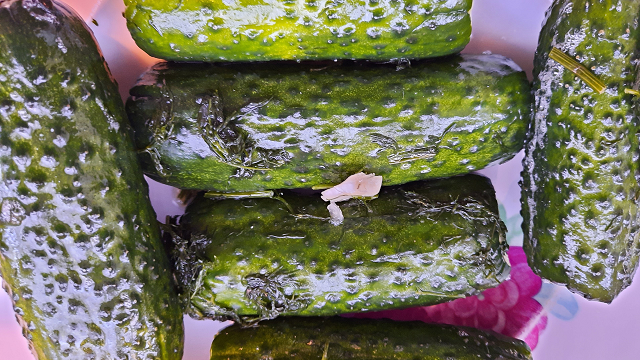 Простой способ приготовления малосольных огурчиков. Съедают мгновенно.mp4