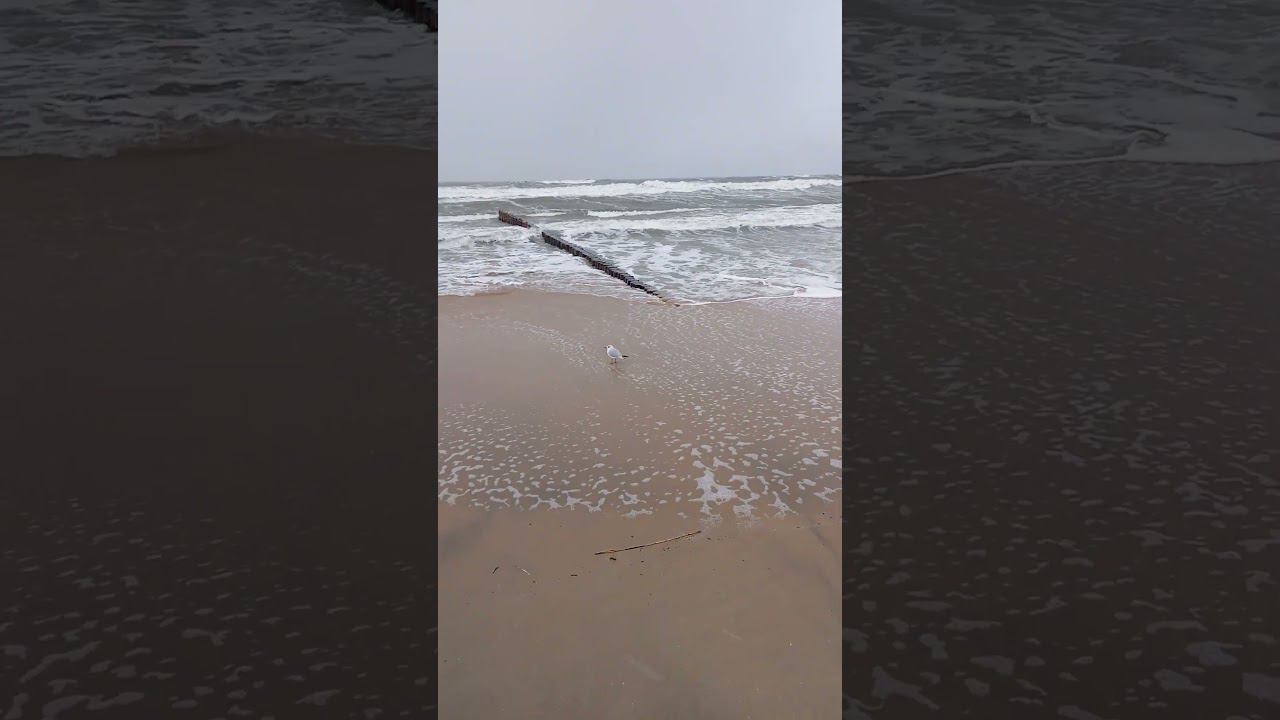 БАЛТИЙСКОЕ МОРЕ В ДЕКАБРЕ 8