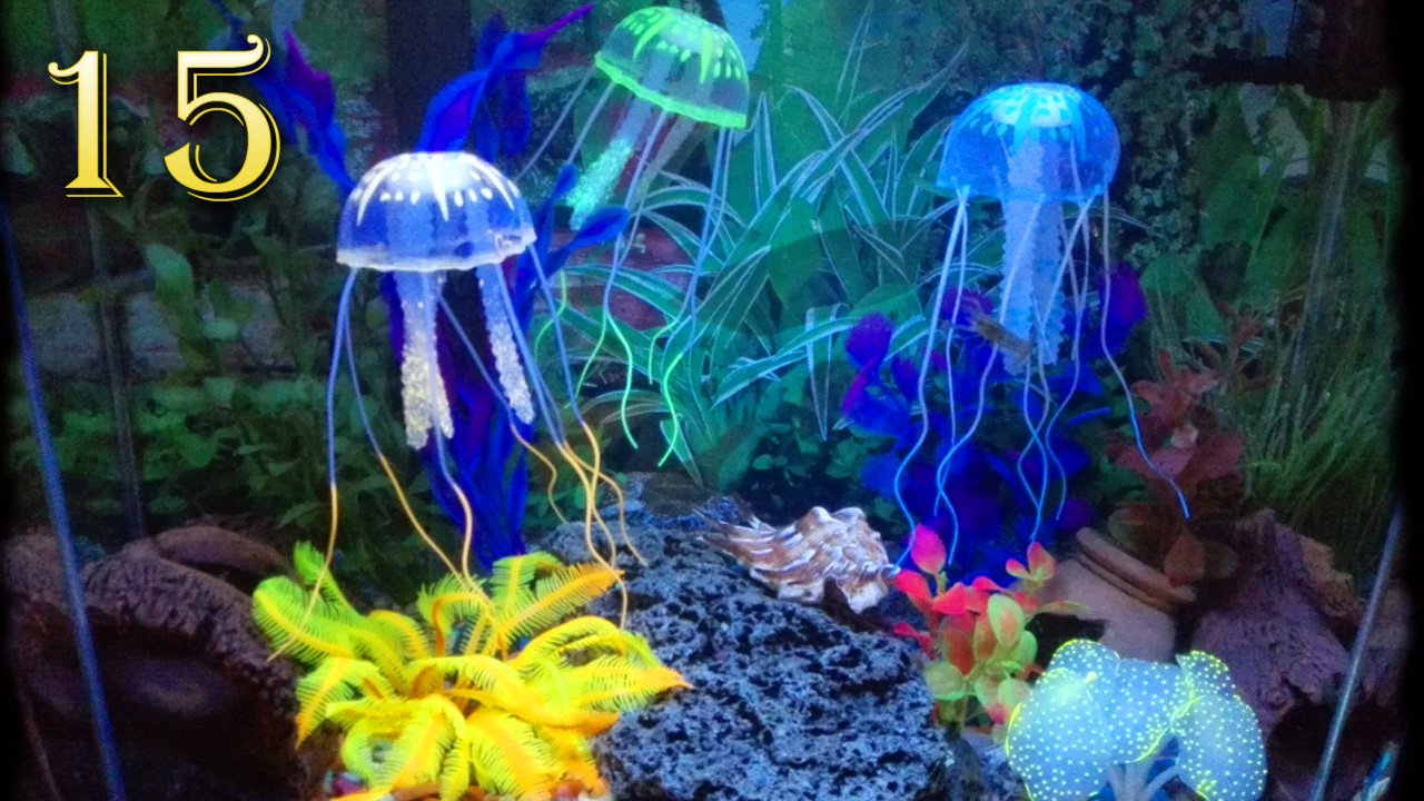 Полезные товары для домашних животных с АлиЭкспресс