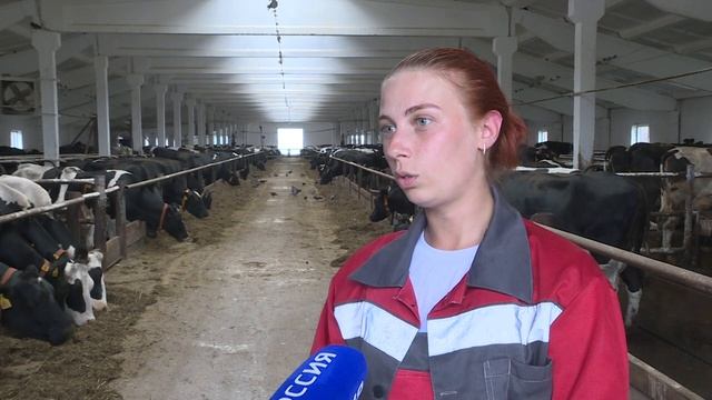 Вести с полей конкурс дояров