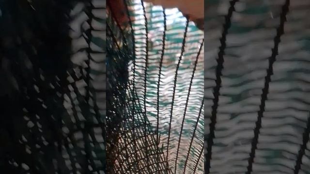 Полезная покупка для дачного сезона