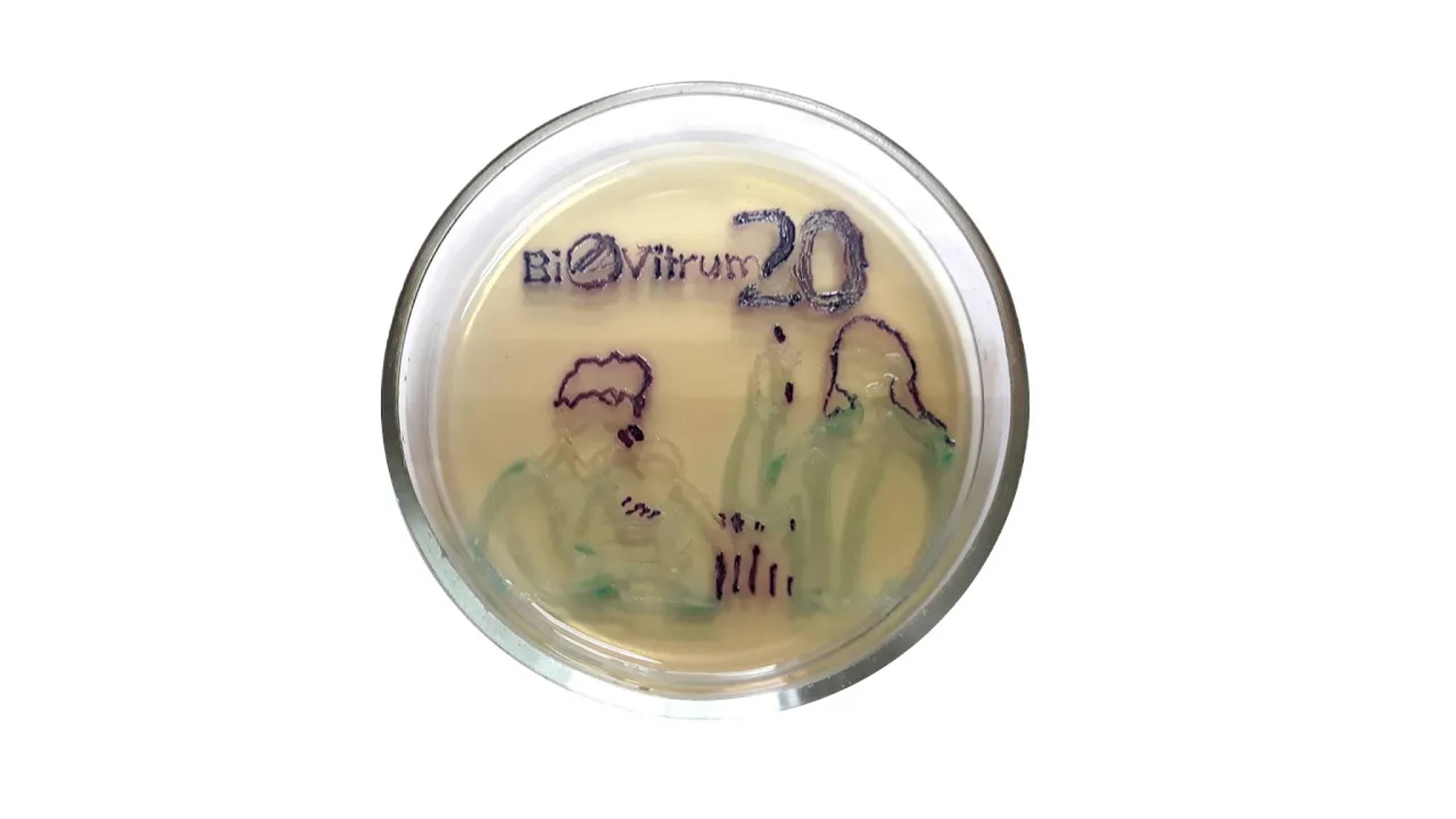 Красота микромира - 2021. Видеогалерея работ