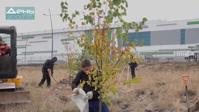 14.10.2020 Компенсационное озеленение.mp4