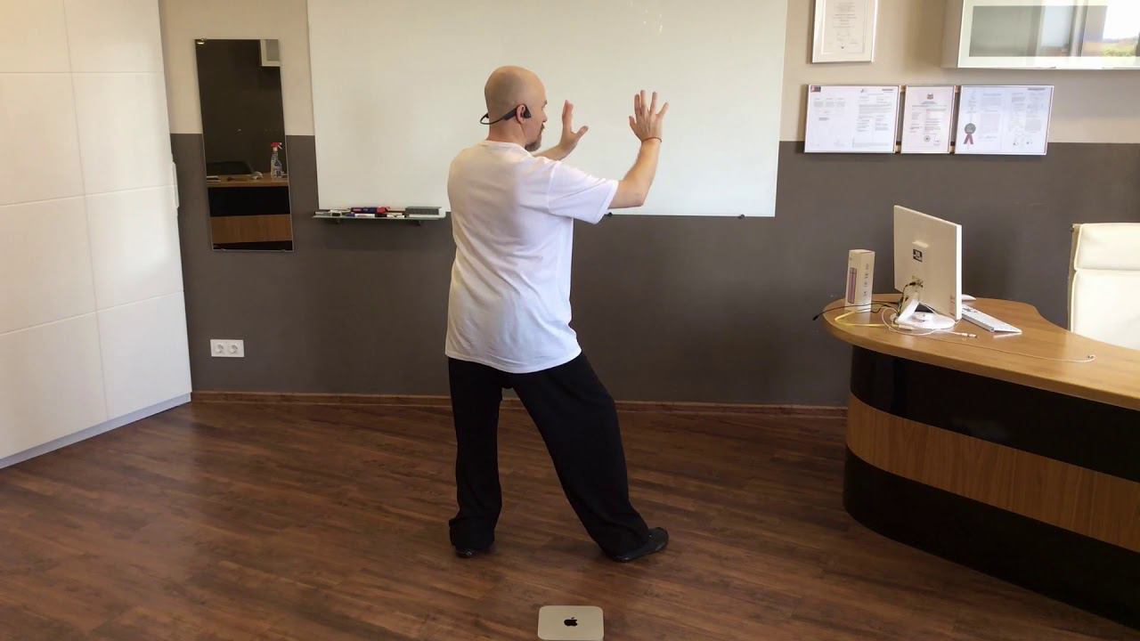 Дух-Хранитель толчёт в ступе. Чэньши Тайцзицюань. Позиция 1/83.