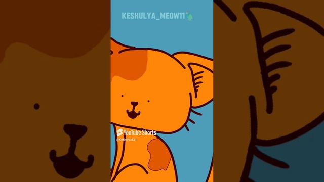 Нет идей для видео 🦜