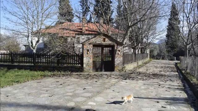 Оптина - Седьмой псалом