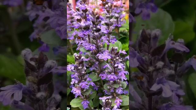 Доброго утра