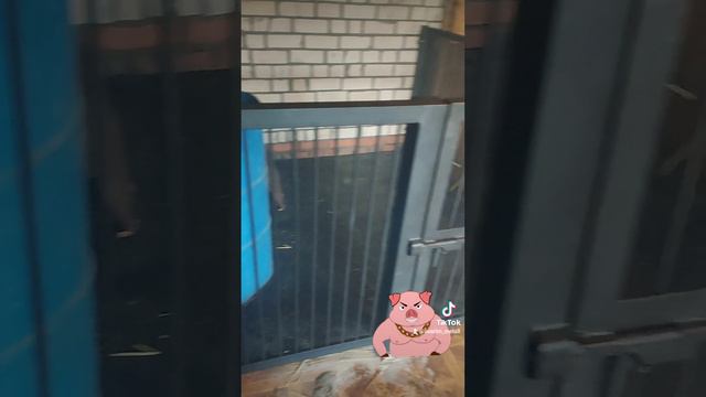 Вольер для кабанчика I Вольеры под заказ I Вольер металлический