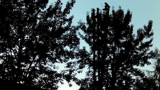 Белые ночи закончились а лампочка не светит.