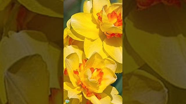 Прекрасного дня