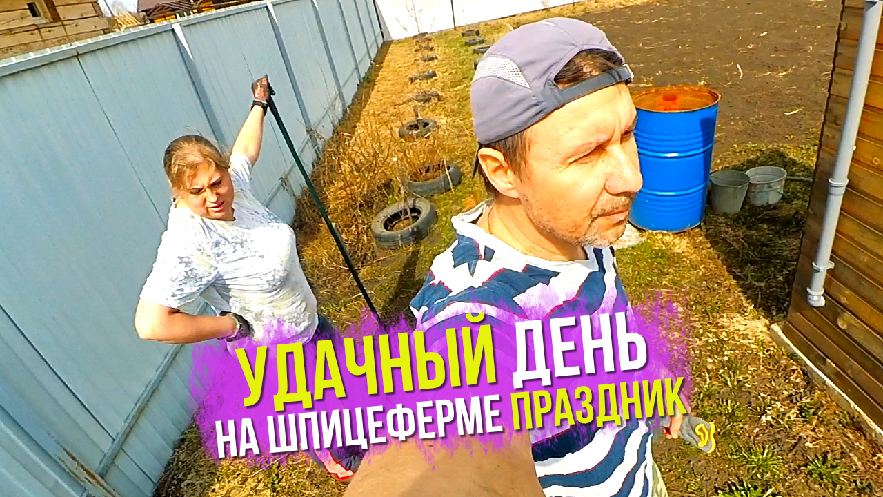 Удачный день шпицеводов. Мечтать не вредно. Шпиц Оливия бегает быстрее Бэллы