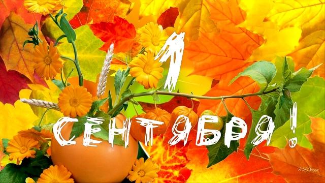 13 поздравления с 1 сентября