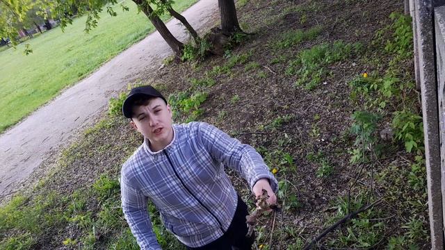 4 Серия "Выживания"