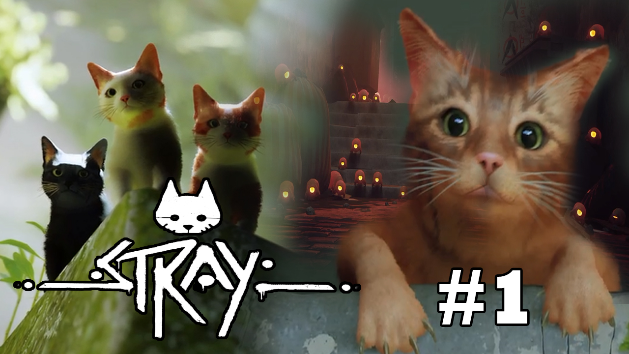 STRAY #1 / ЧТО БУДЕТ ДАЛЬШЕ ...?!