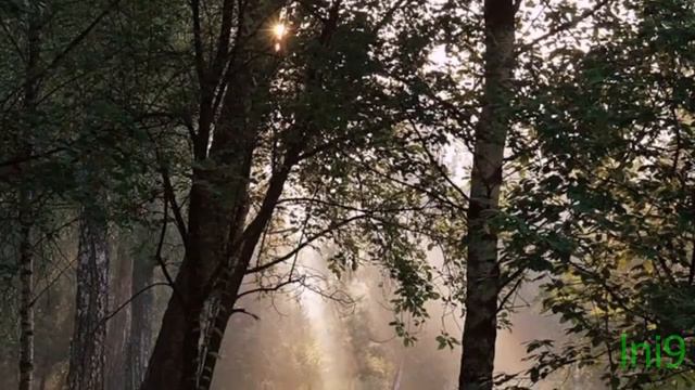 Пейзажи Надежды Лавровой- Фильм 1 -Редакция-