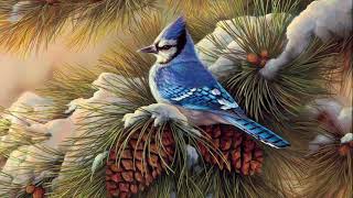 Хвоя. Можжевельник ?