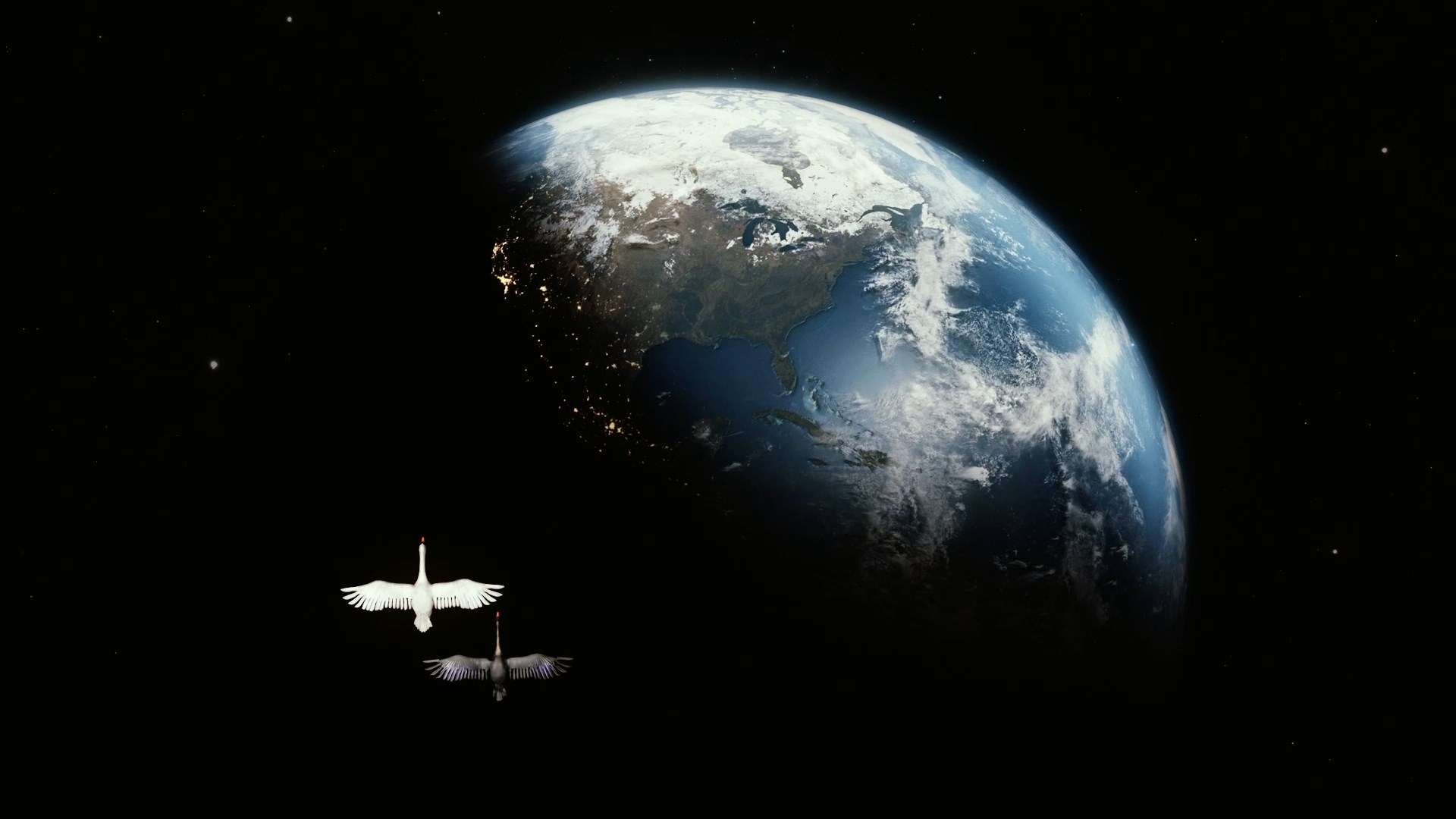 Владислав Кожевников и Элеонора Метелица ТАНЕЦ