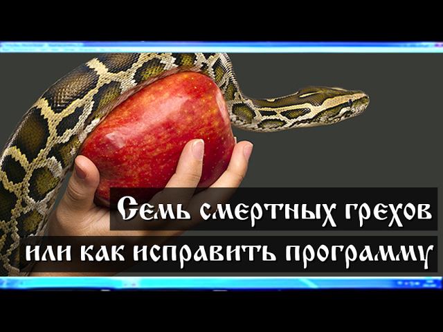 Семь смертных грехов или как исправить программу человека? (Лекция 0.5, Семенов И.Н.)