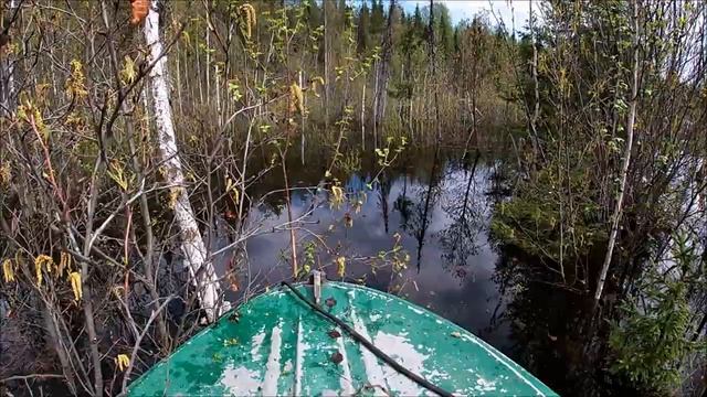 заехал в лес на лодке.