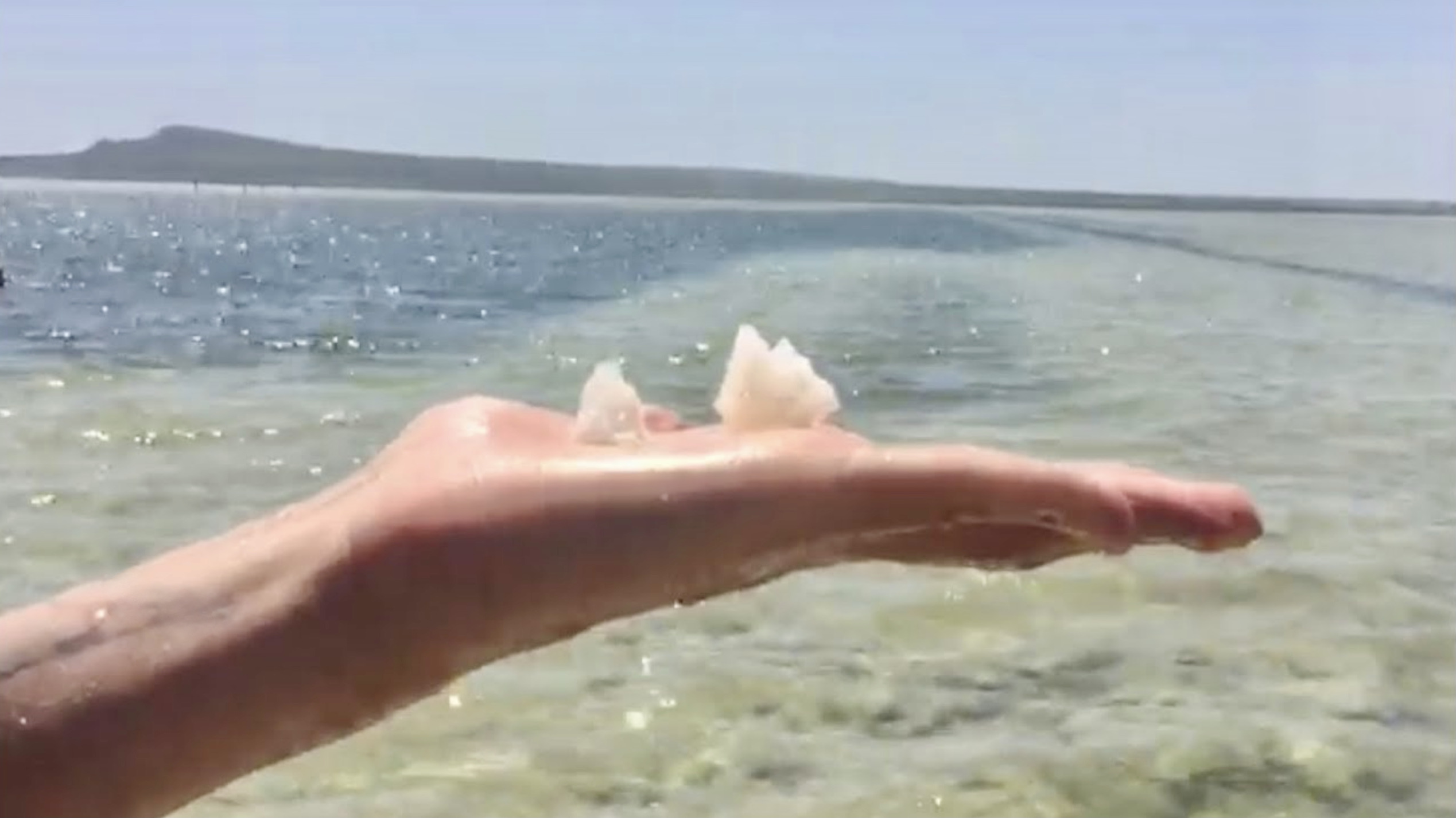 Российское "Мертвое море" - озеро Баскунчак ? Богдинско-Баскунчакский заповедник