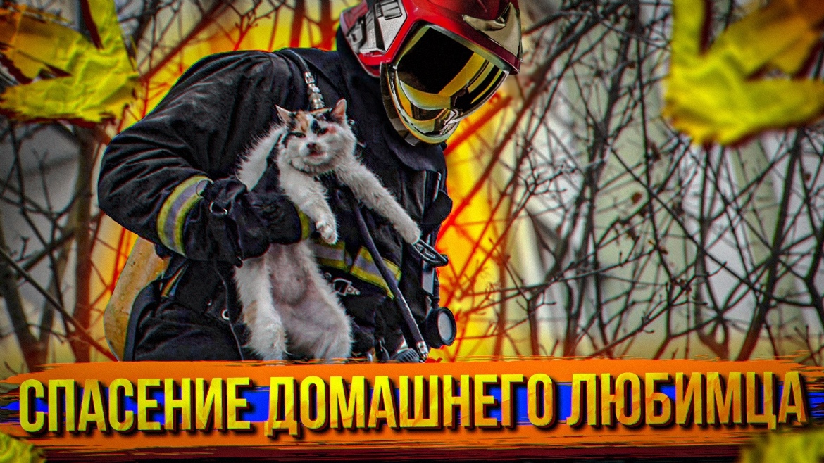 Разобрали стену -  спасли домашнего питомца / Спасатели в деле.mp4