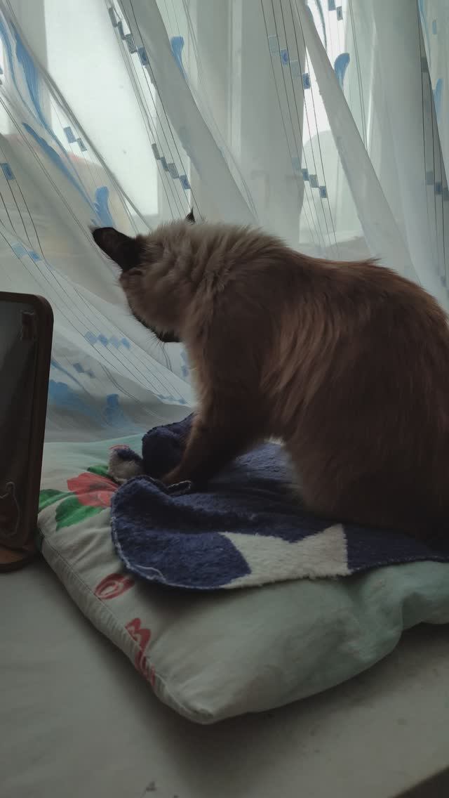 Месит одеялко