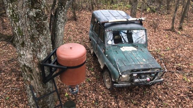 Кормим кабанов с помощью автоматической кормушки