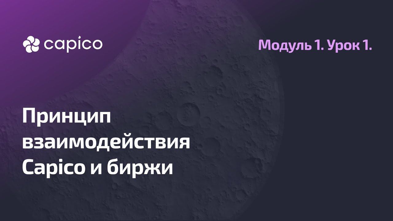 Принцип взаимодействия платформы Capico и биржи