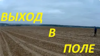 Выход в поля.КОП с металлоискателем