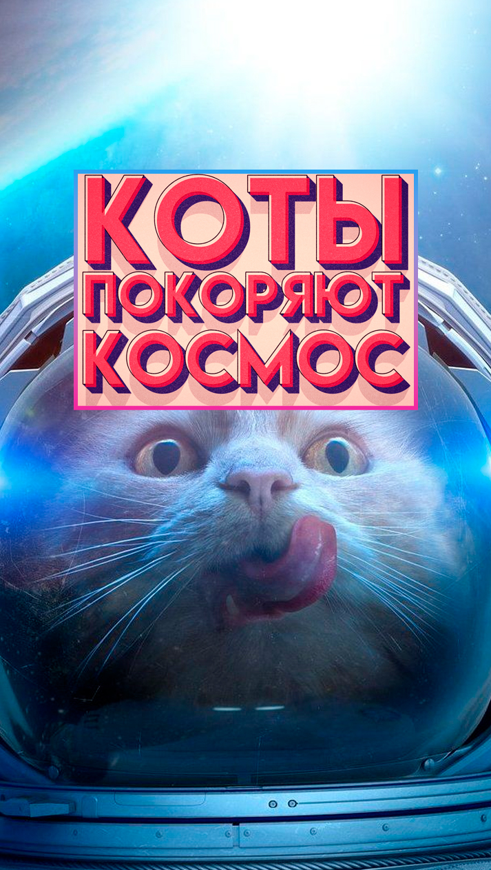 Эта КОШКА побывала в космосе! 🥶 #shorts #кошки #космос