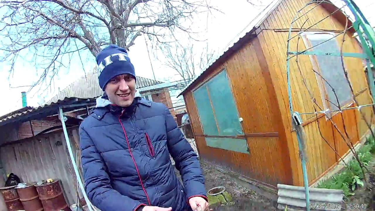 Прогулка по двору в Приморке 27.03.2016