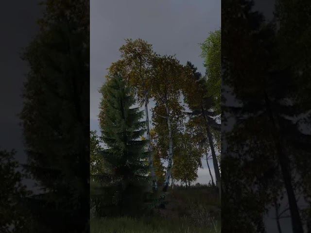 Джавид и кукушка в DayZ #shorts