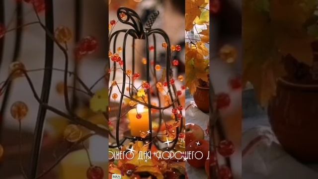 Доброго утра. Хорошего дня