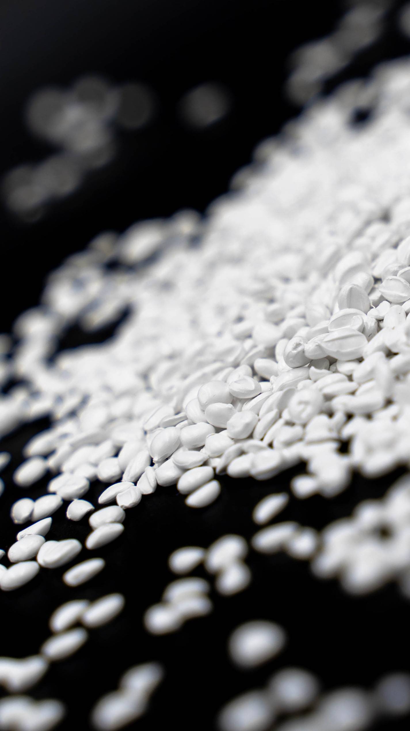 Отвечаем на часто задаваемые вопросы