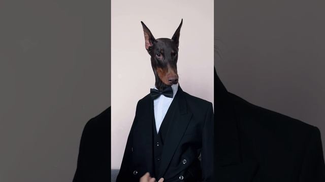 Собакен 2024, часть 2