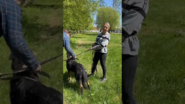 Приходи к нам и становись частью нашей команды 😉