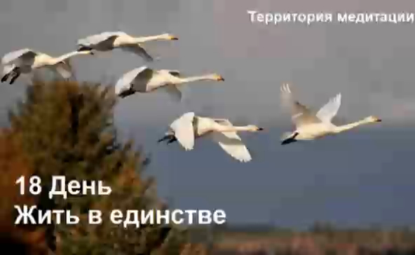 18 День Медитация Жить в единстве
